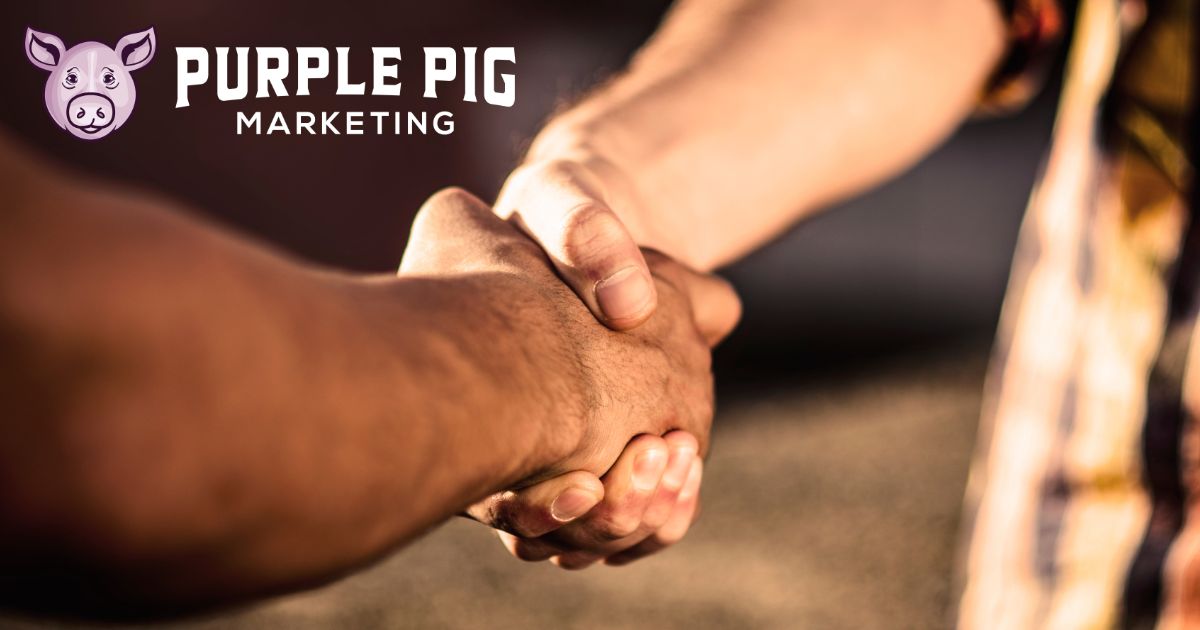 Logo and Branding | Purple Pig Marketing